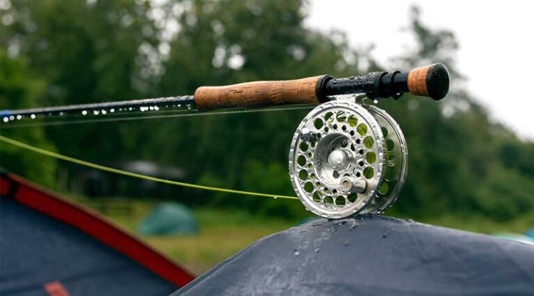 Best Budget Fly Rods 2025 - Savvy Scores