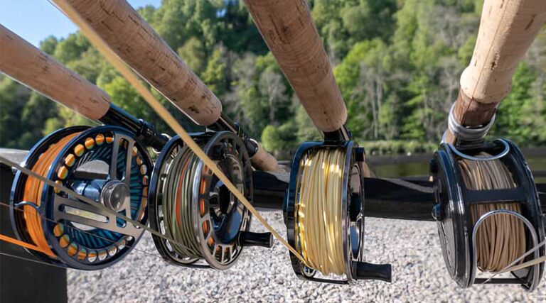 Best Budget Fly Reels of 2025 - Savvy Scores