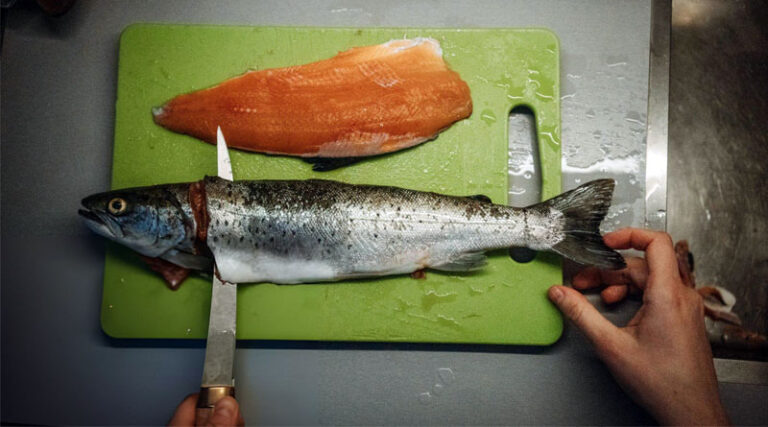 Best Fillet Knives For Trout of 2025 - Savvy Scores