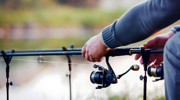 Best 10lb Braided Fishing Lines of 2026 - Savvy Scores